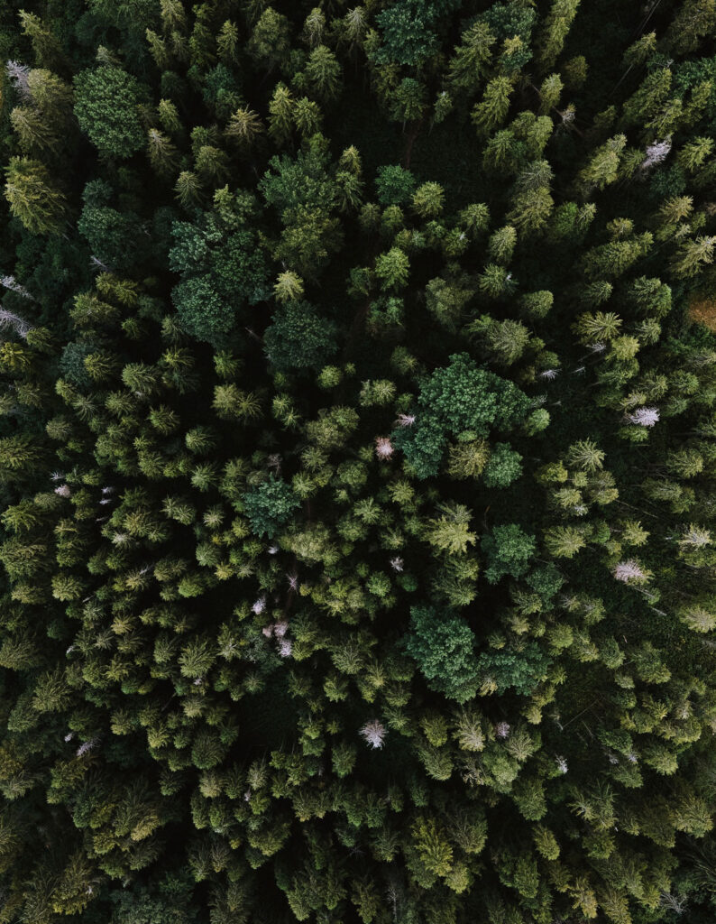 ACR Announces Public Comment Period for New Methodology for Avoided ...