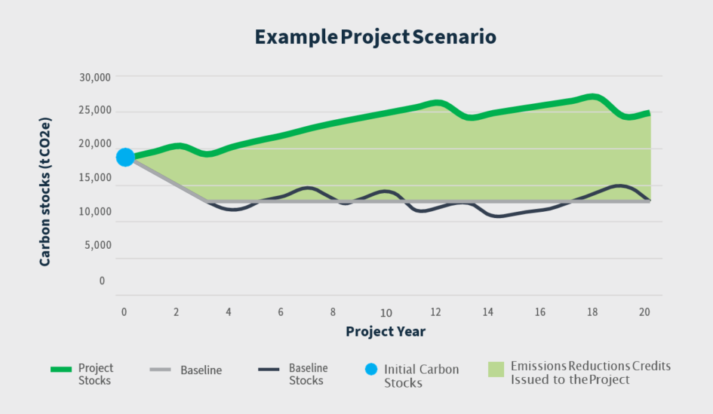 Improved Forest Management - ACR